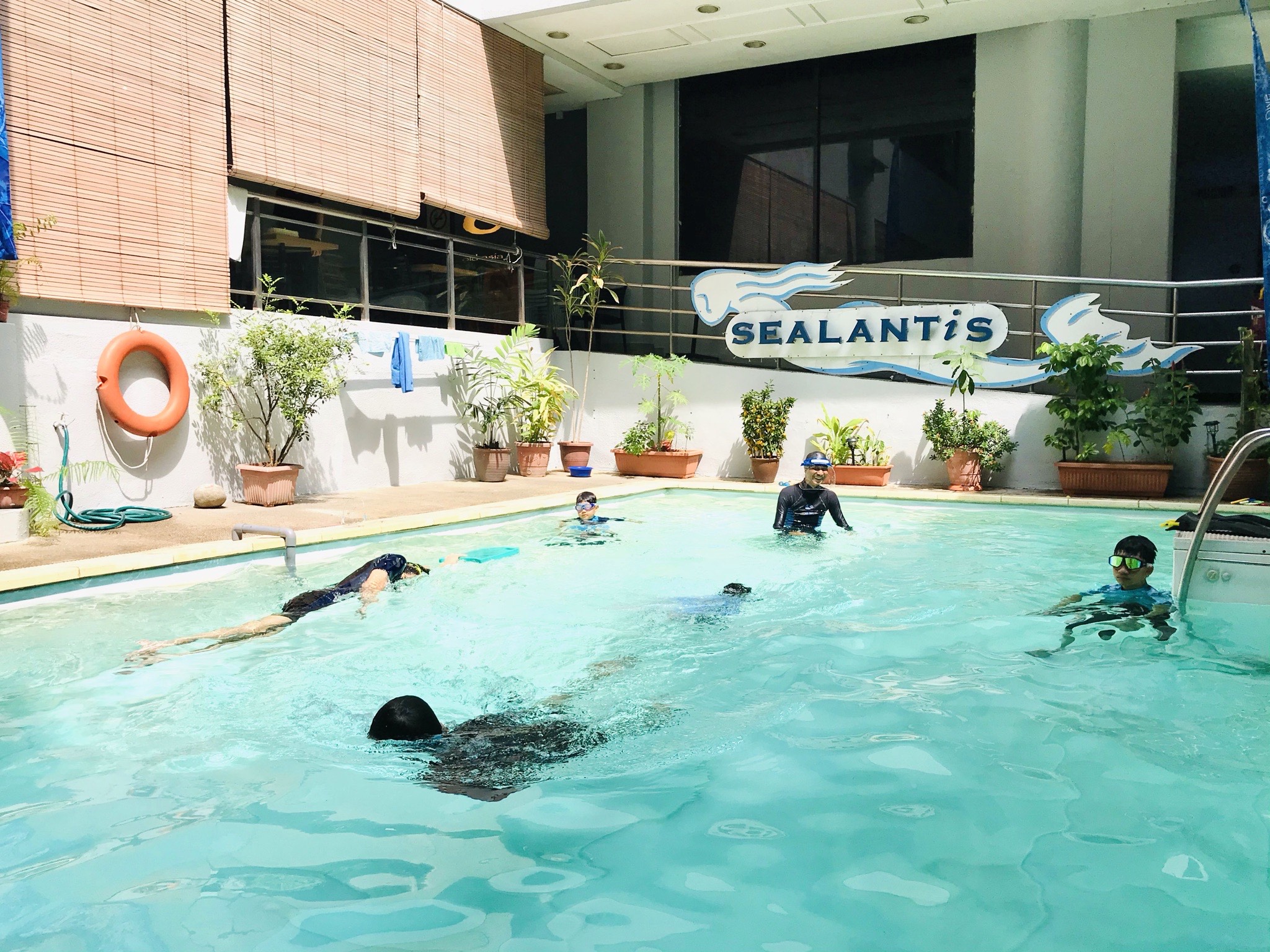 Learn TO Swim – Sealantis
